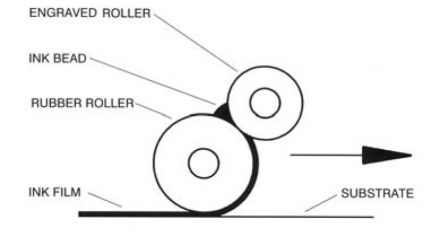 K Lox Proofer - Trump Speciality